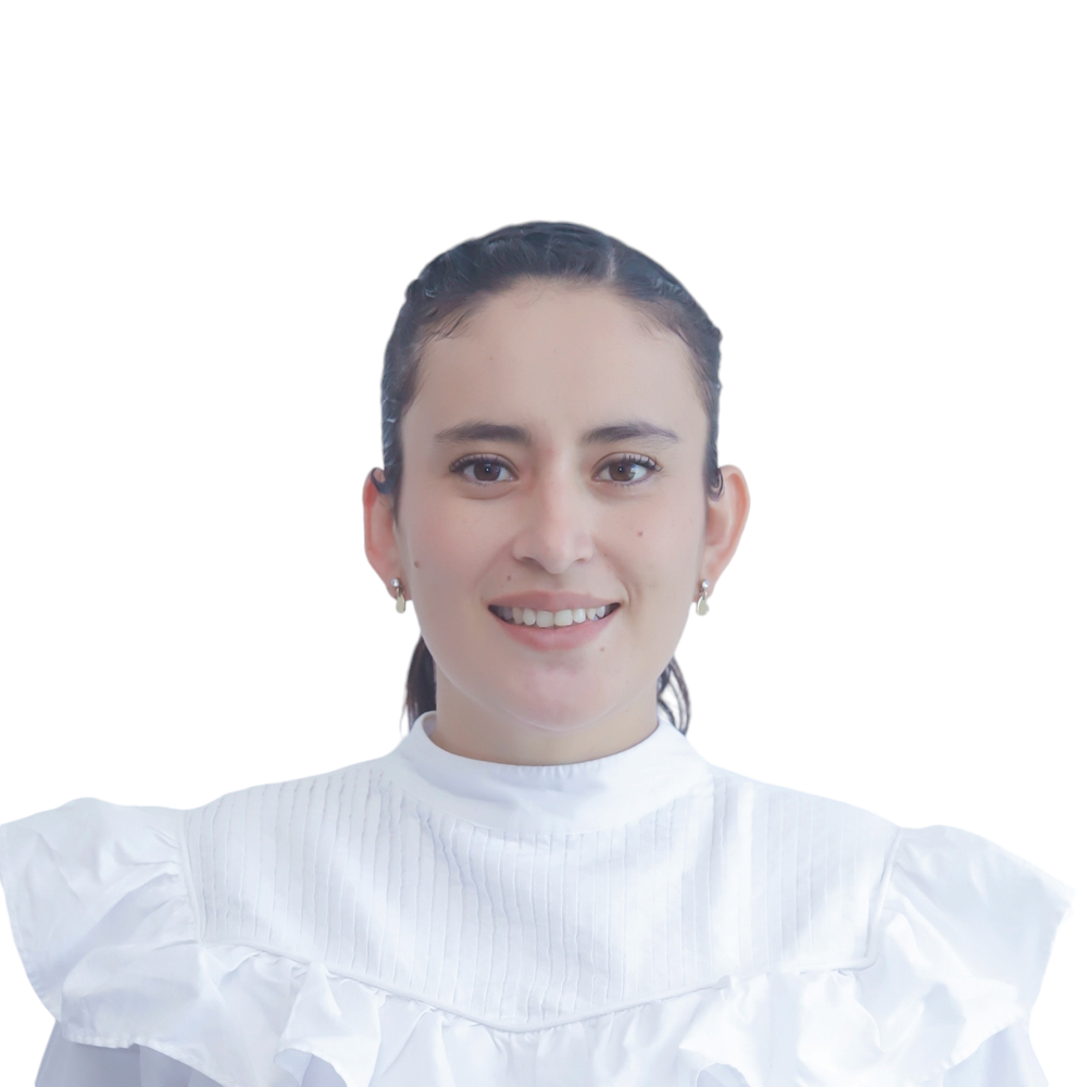 Gobierno de Puerto Vallarta